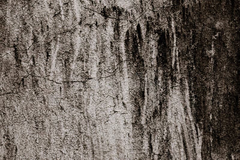 Stone Wall Background. Natural Cement, Concrete Texture Stock Image ...