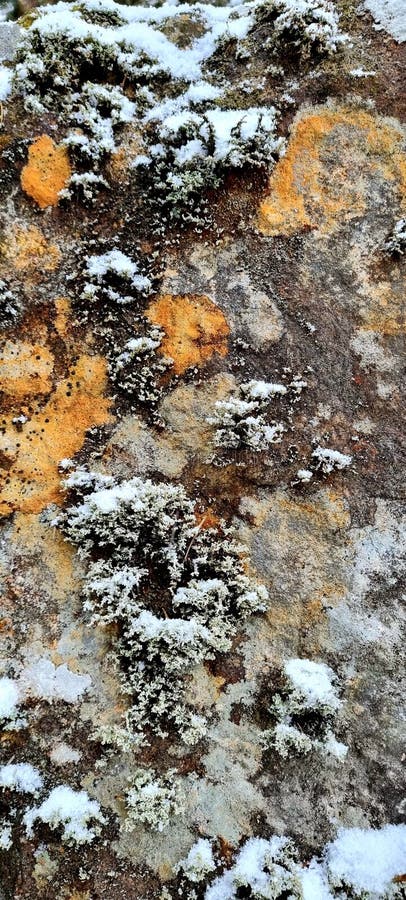 Stone Wall Background with Snow, Grey and Orange Colour Stock Image ...