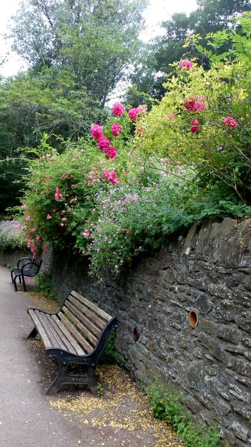 Stone Wall with Bench and Flowers Stock Image - Image of bench, flowers ...