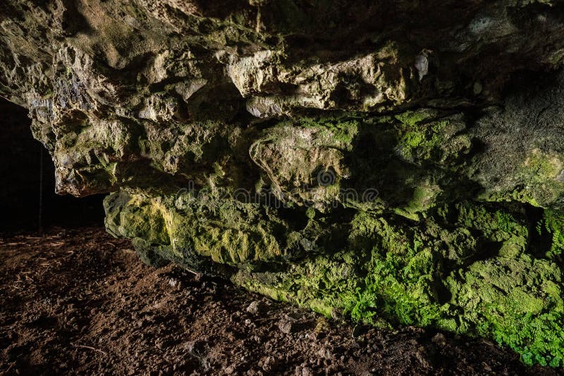 Stone wall in a cave, stock image. Image of environment - 203553425