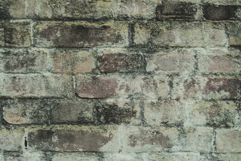 The Stone Wall Concept.texture Abstract Background Stock Photo - Image ...