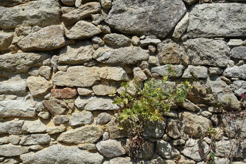 Stone Wall Different Types and Sizes of Stones Background Stock Photo ...