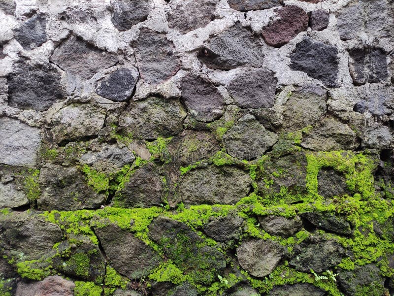 Stone Wall Exposed and Not Exposed To Moss Stock Photo - Image of stone ...