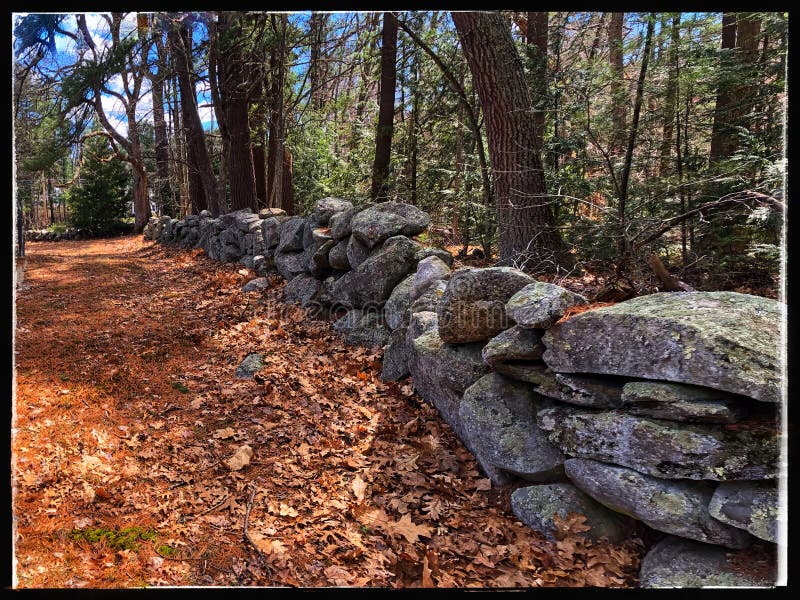 Stone wall stock image. Image of wall, walk, stone, forest - 146586333