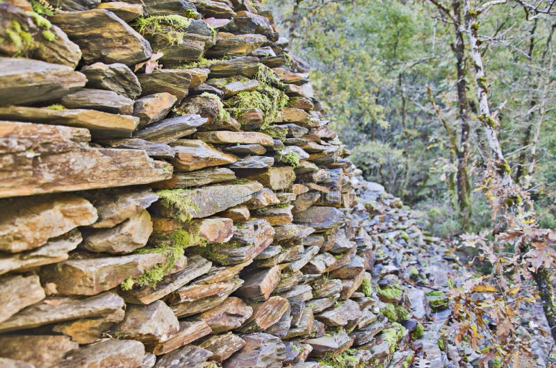 Stone wall stock image. Image of travel, forest, color - 44893265