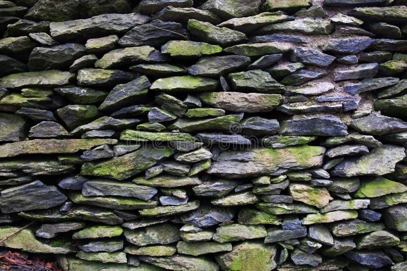 Stone wall stock image. Image of green, built, abstract - 48872677