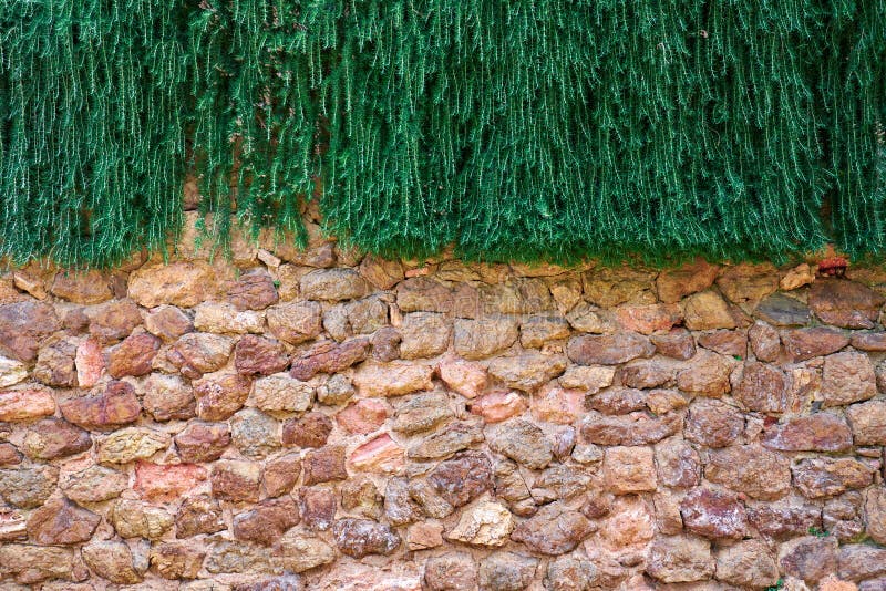 Stone wall and grass stock photo. Image of decor, wall - 207261434