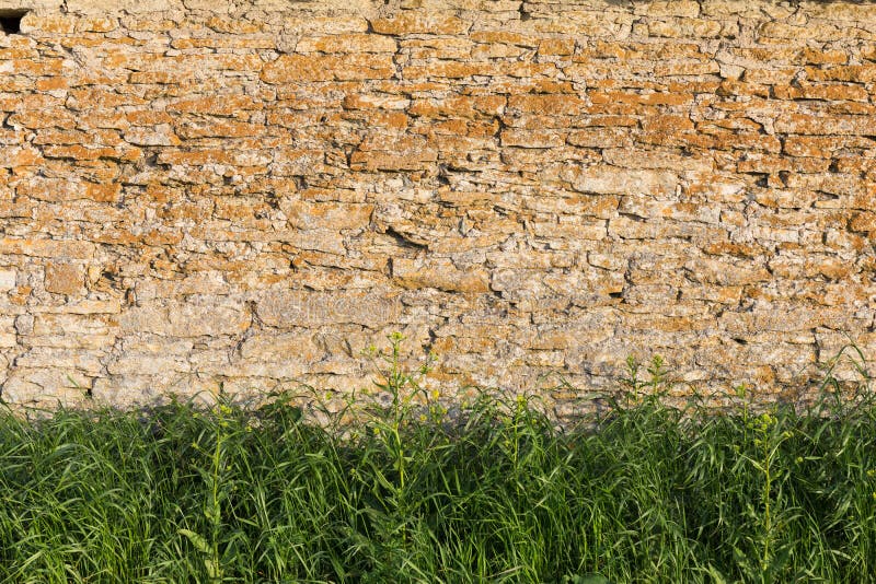 Stone wall with grass stock image. Image of detail, contrast - 223980557