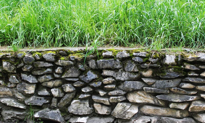 Stone wall and grass stock photo. Image of sedge, edge - 45354790