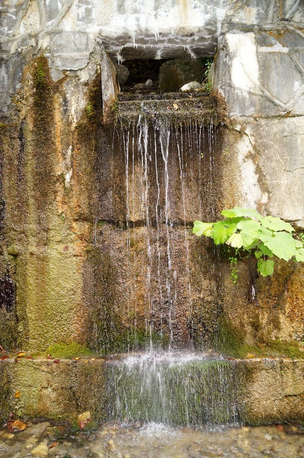 Stone Wall with Greenery and Waterfall. Texture of Nature. Background ...