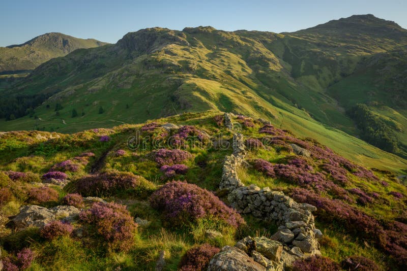 Side Pike in All Its Glory at First Light Taken on Lingmoor Fell in the ...