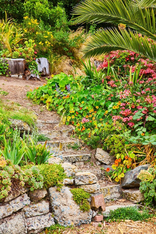 Stone Wall Leading To Stone Steps in Flower Garden with Succulents ...