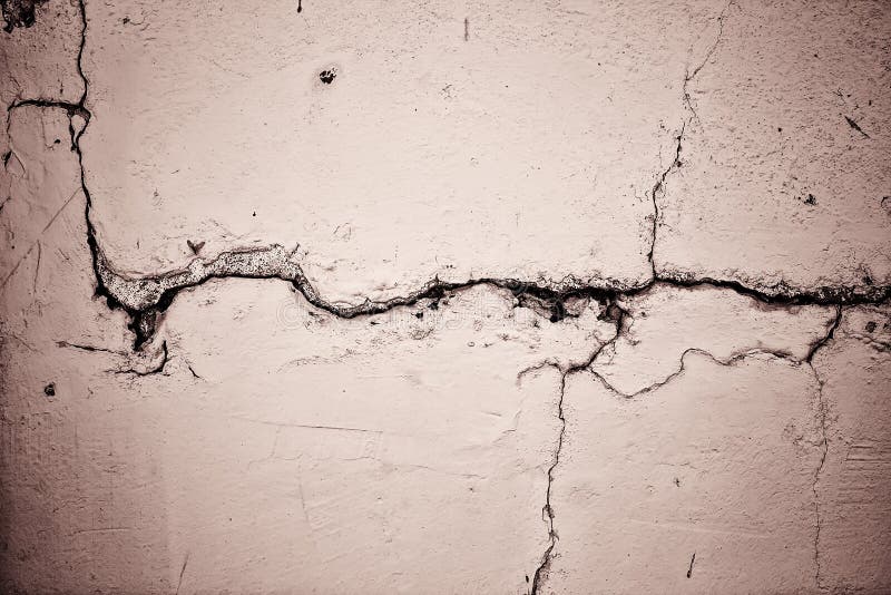 Moss stone wall stock image. Image of lichen, construction - 180179733