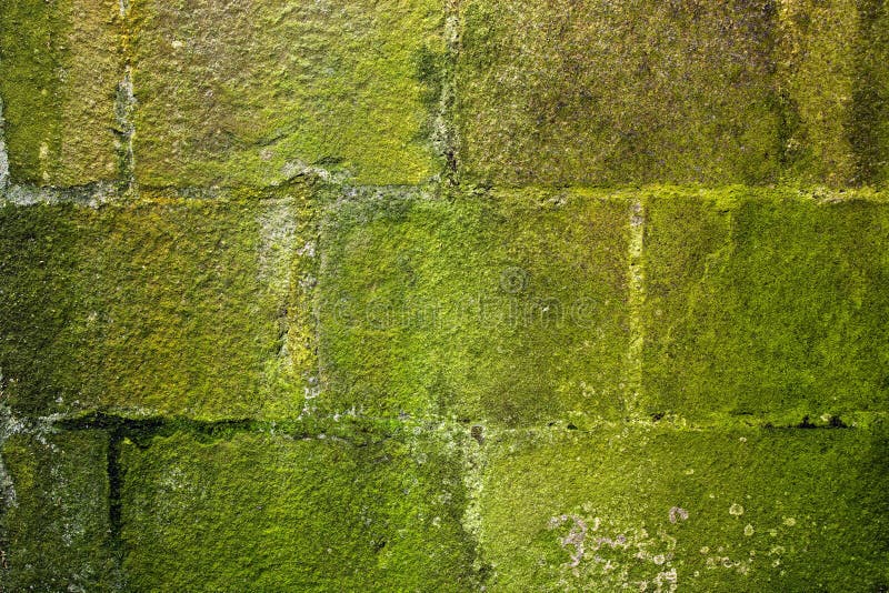 Stone wall moss covered stock photo. Image of surface - 11067256
