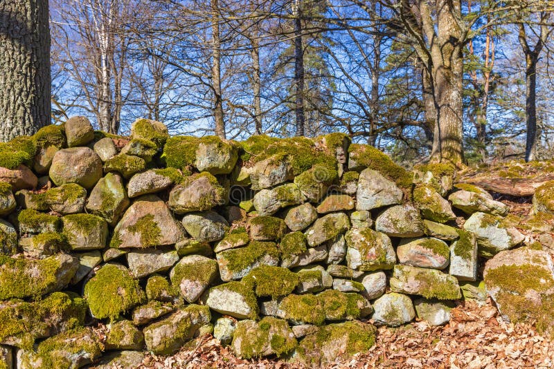 Stone Wall with Moss in a Pasture in Spring Stock Image - Image of ...