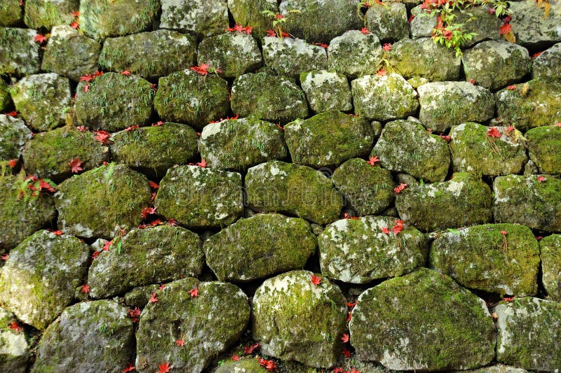 Stone Wall with Moss Textured Stock Image - Image of rural, built: 30736945