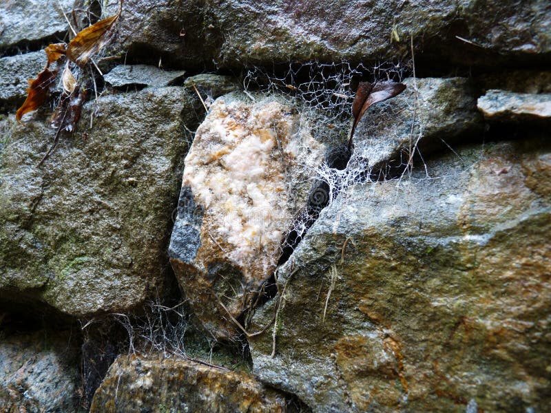 Cobwebs At An Old Stone Wall Stock Photo - Image of weathered, ancient ...
