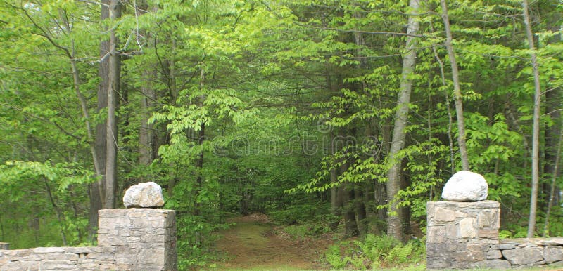 Stone Wall Opening To Path in Woods Stock Photo - Image of outdoors ...