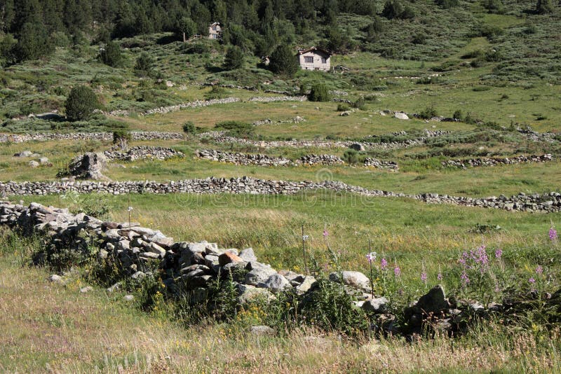 Stone wall in a pasture stock photo. Image of farming - 86093968