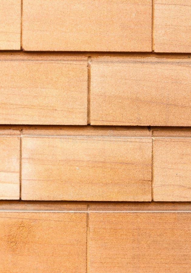 Peach pip texture stock photo. Image of ground, peaches - 18991718