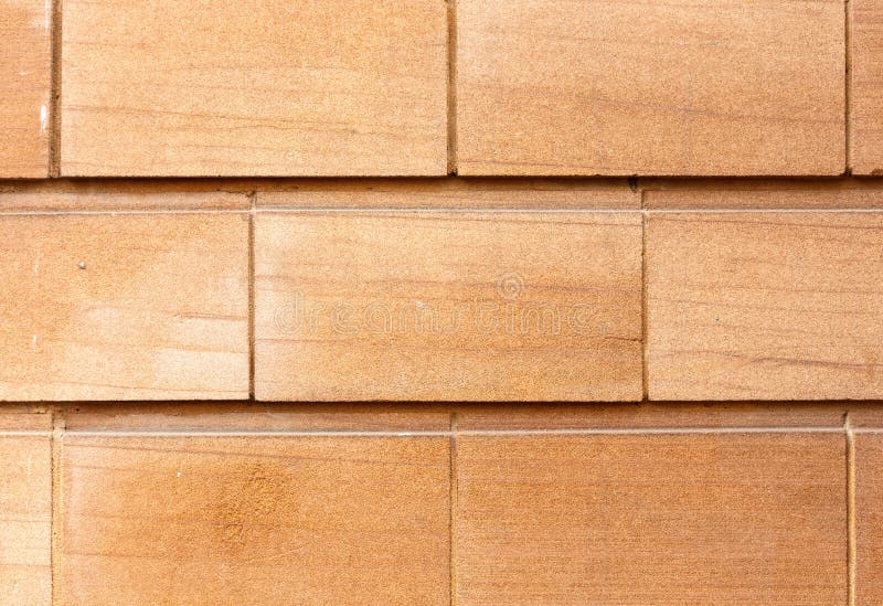 Peach pip texture stock photo. Image of ground, peaches - 18991718