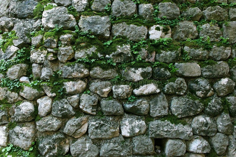 Stone Wall with Plants, Texture Stock Image - Image of plants, ancient ...