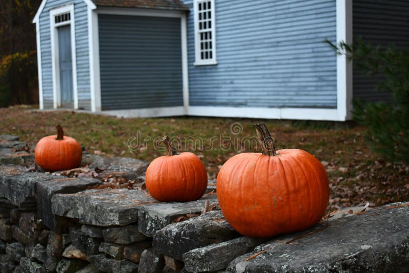 Stone Wall of Pumpkins stock photo. Image of pumpkin - 278480720