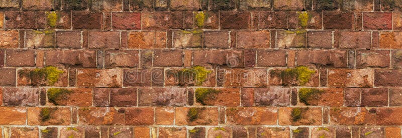 Stone Wall of Red Bricks Covered with Moss, Part of the Old Pavement of ...