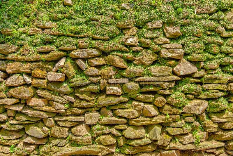 Stone wall with moss. stock photo. Image of closeup - 164710058