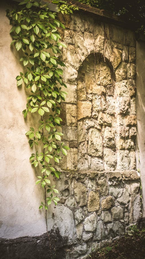 A Stone Wall Resembling A Castle Window, With Beautiful Ivy And ...