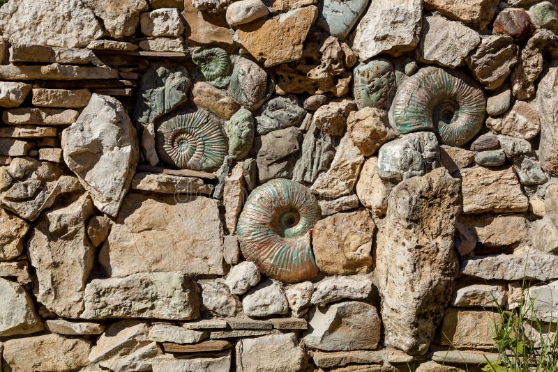Stone wall with shells stock image. Image of limestone - 195846119