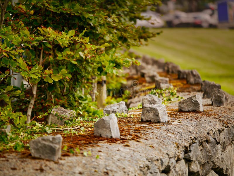 Stone Wall with Stone Spikes, and Trees Growing Behind. Concept Basic ...