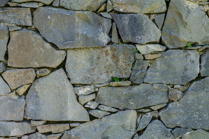 Old Wall of Stone Shell Rock of Arbitrary Shape.2 Stock Image - Image ...
