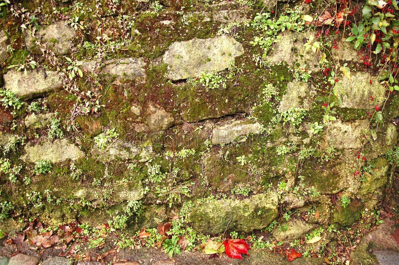 Stone wall texture stock image. Image of overgrown, lichen - 73108589