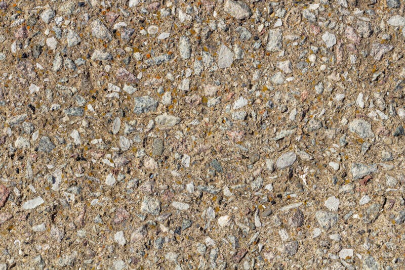 Stone Wall Texture. Pieces of Shells Stick Out of the Stone. Textured ...