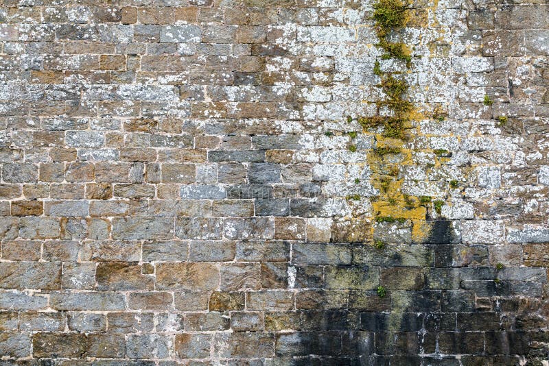 Stone Wall Texture with Water Damage and Moss Stock Photo - Image of ...