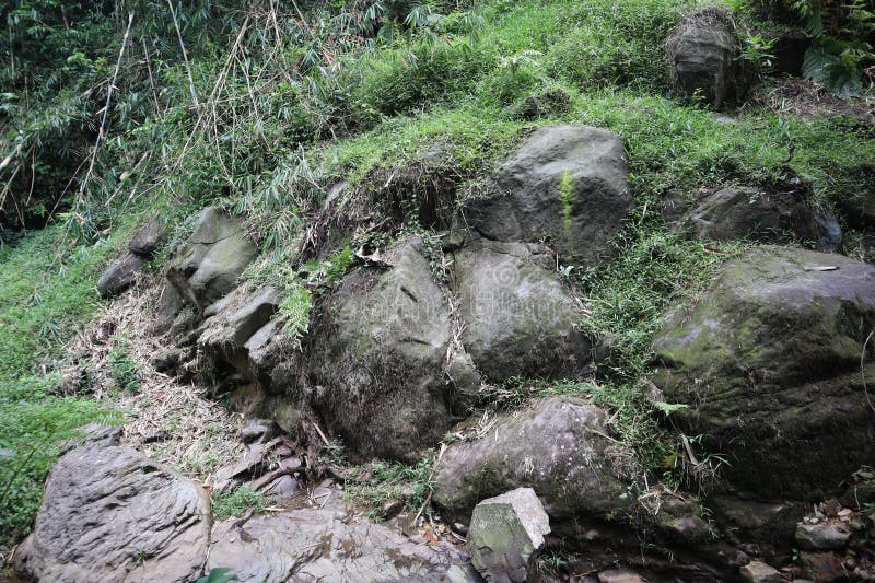 Stone Wall Under Bushes in the Afternoon Stock Image - Image of soil ...