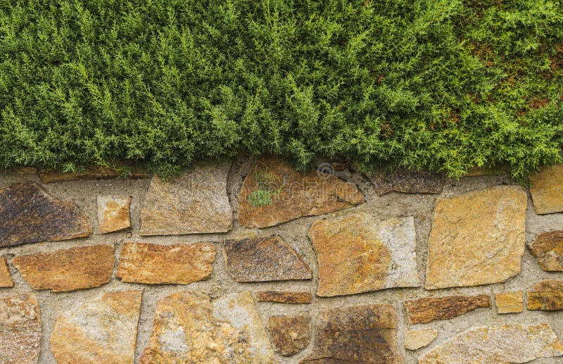 Stone Wall at the Bottom of the Image and Green Vegetation at the Top ...