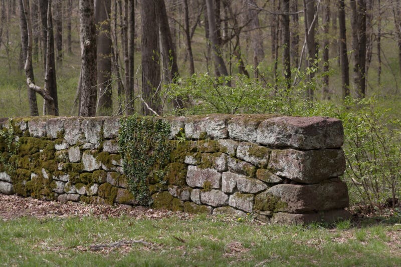 Stone Wall in a Woodland Setting Stock Photo - Image of rustic, shadows ...