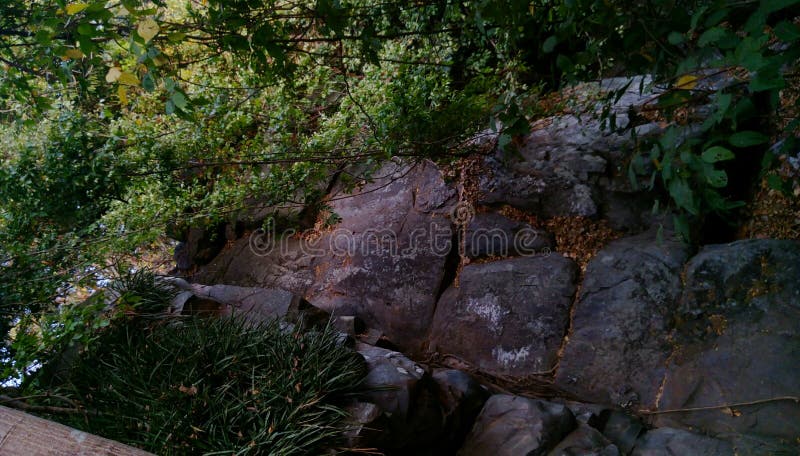 Stone walls in forest stock photo. Image of india, tree - 132846594