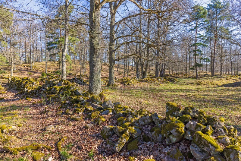 Stone Walls in an Old Cultural Landscape in Spring Stock Photo - Image ...
