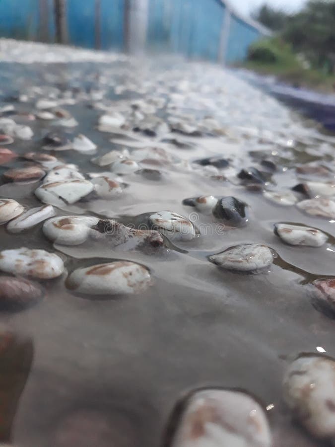 Stone and water stock photo. Image of view, nature, water - 206306440