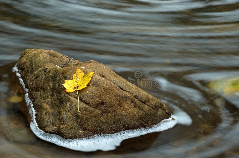 Stone in water stock image. Image of light, motion, color - 27460967