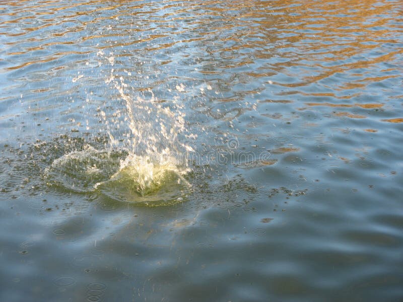 Stone And Water Picture. Image: 91788510