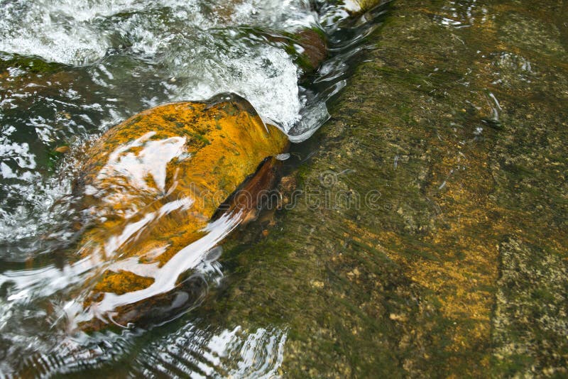 Stone in the water stock image. Image of stream, green - 55421979