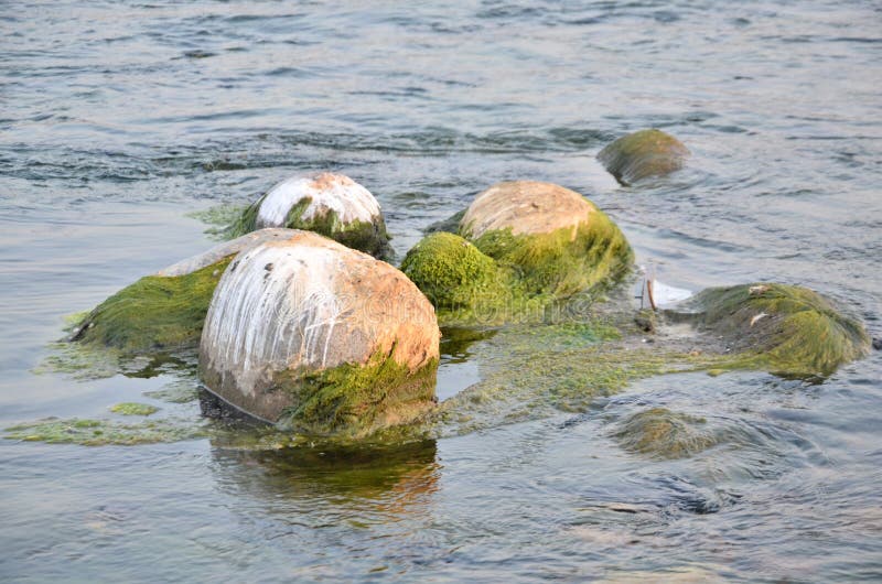 Stone in the Water Nadaun H.P India Stock Photo - Image of location ...