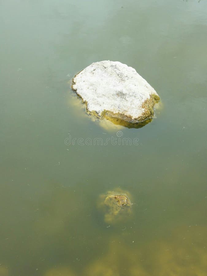 Stone in Water stock photo. Image of water, stone, bright - 120089198