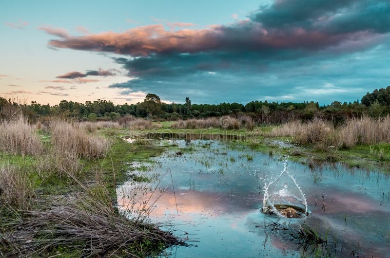 Stone Water Splash in a Cloudy Day Stock Image - Image of ripple, wave ...