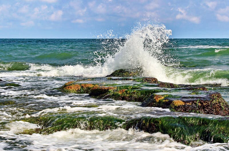 Stone and wave stock image. Image of seaside, coastal - 61583445