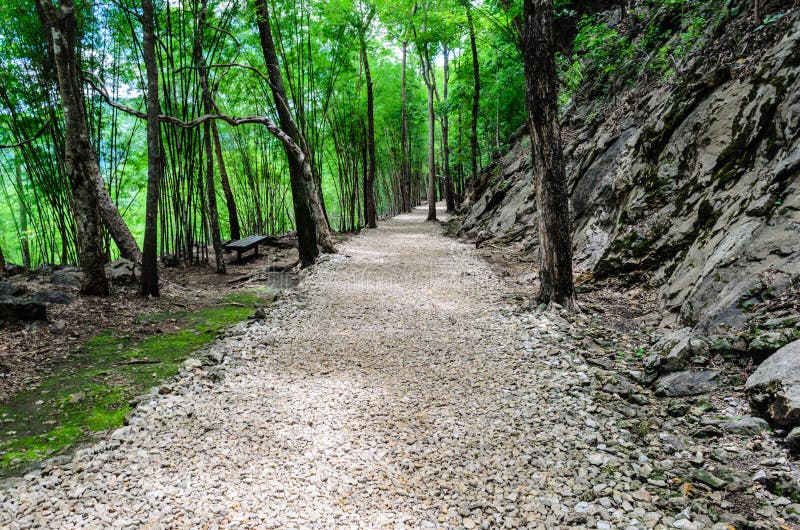 Stone Way in forest stock image. Image of pave, rising - 31443473